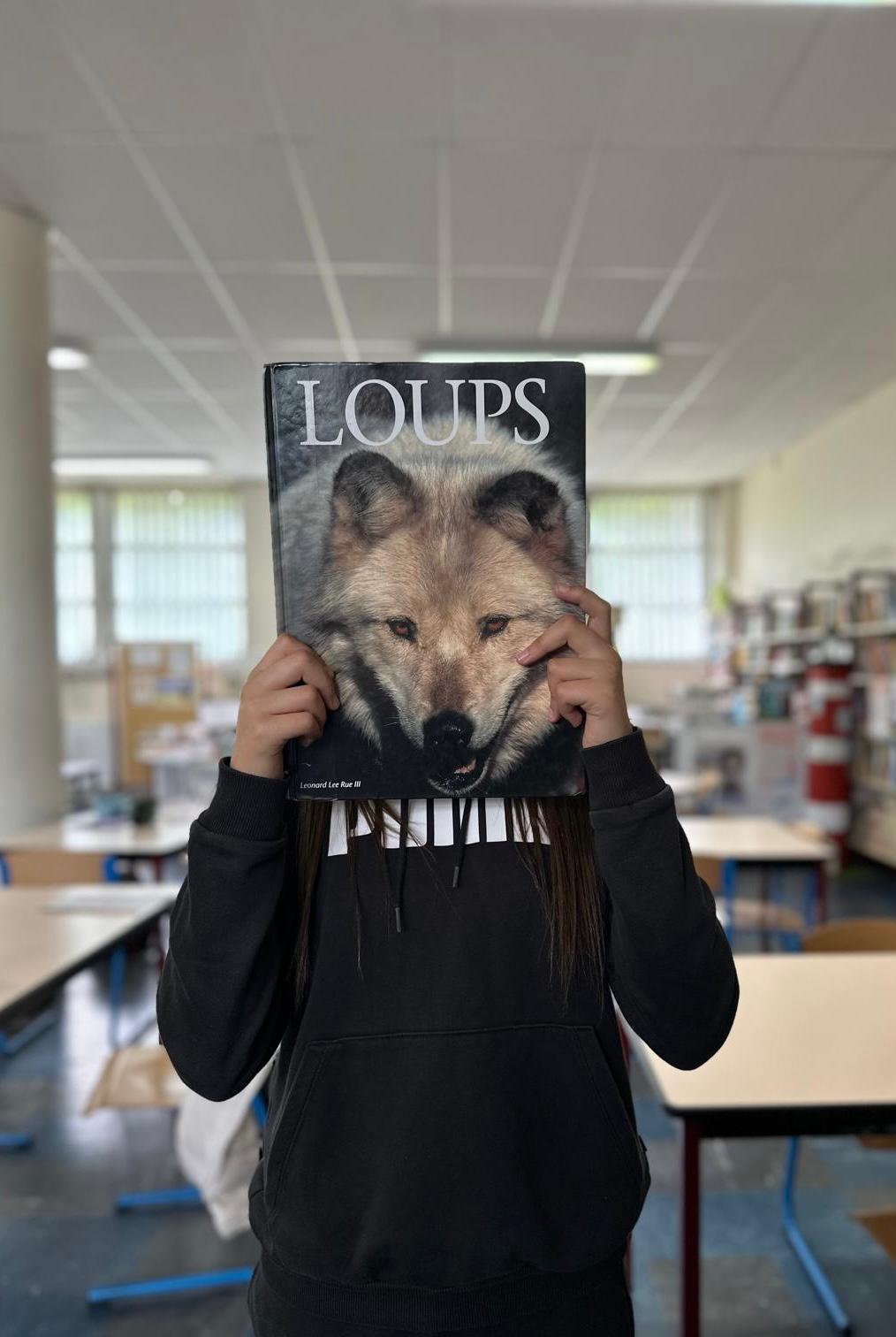 Activité "Bookface" au Club lecture - Collège - Cité Scolaire Le Corbusier